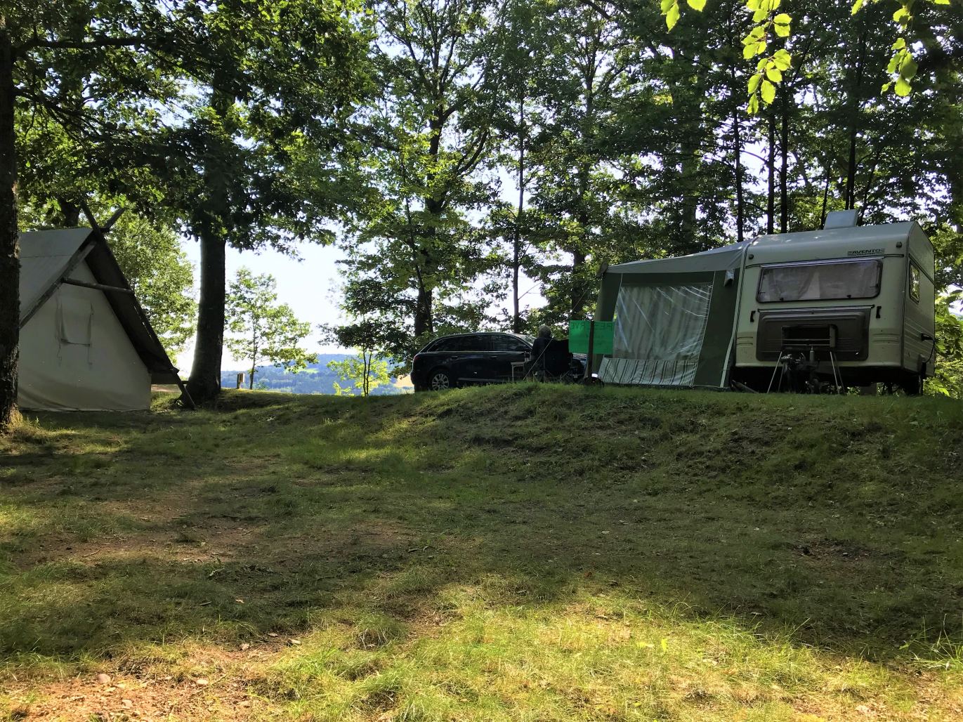 Campingplatz Elsass Mit Hund