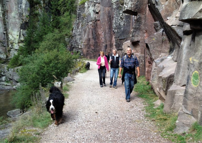 Wandern mit Hund: Durch die Sottosassa-Schlucht bei Predazzo