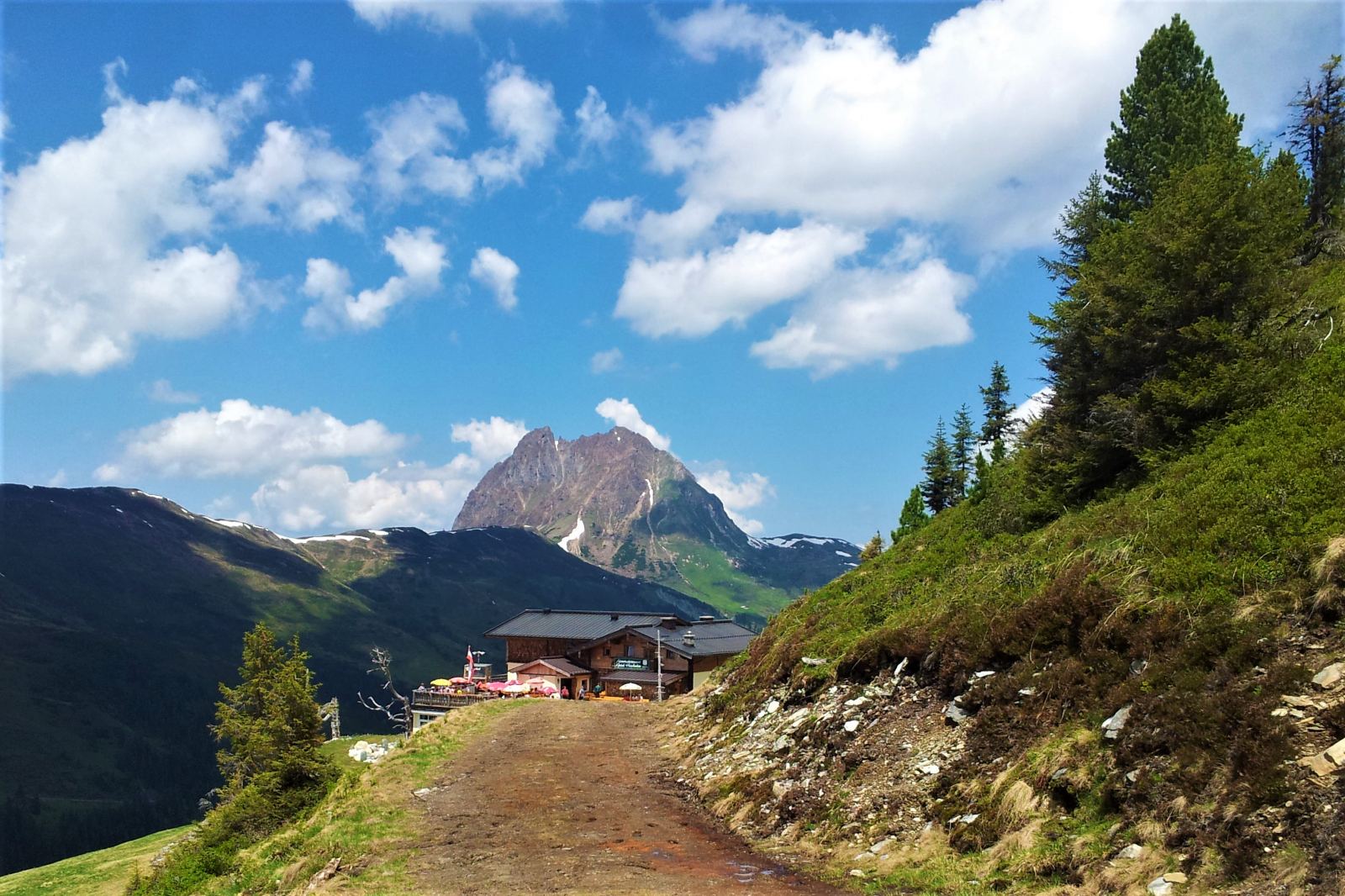 Wandern mit Hund in den Alpen: Was gilt es zu beachten?