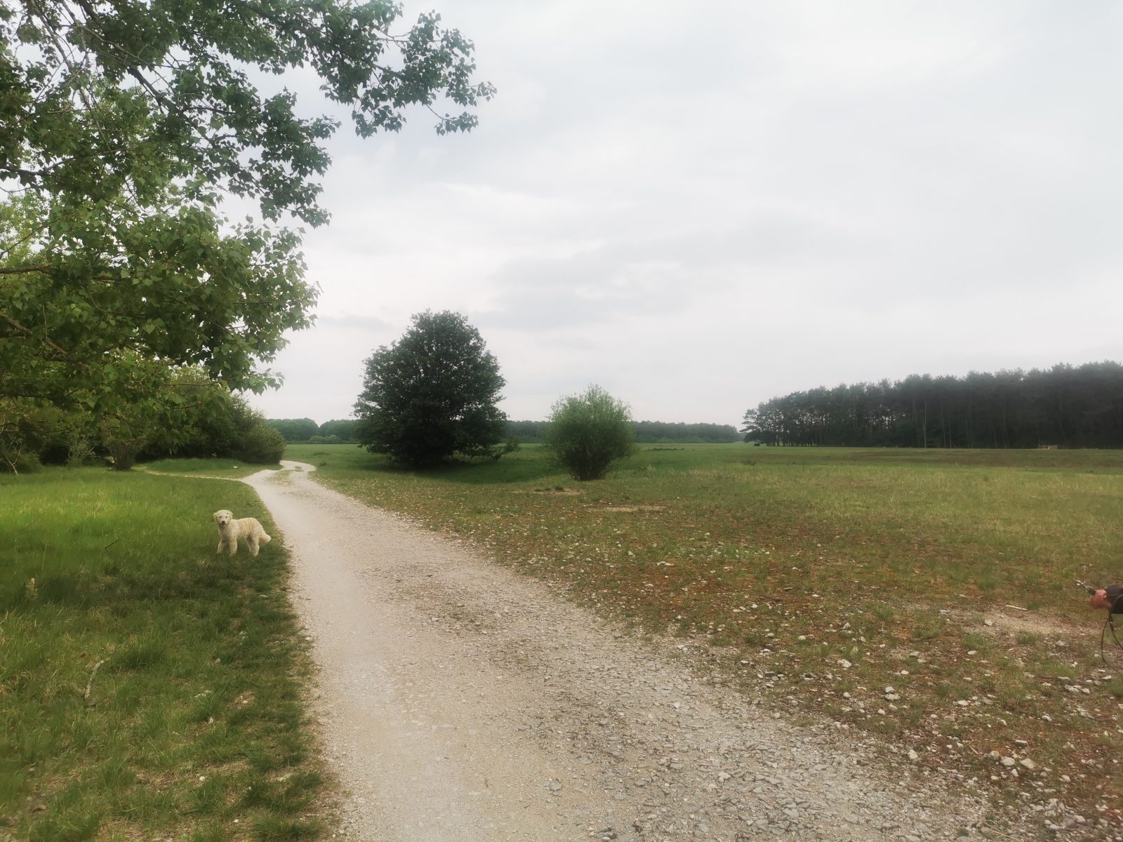 Durch die Heidewiesen zum Mallertshofer See