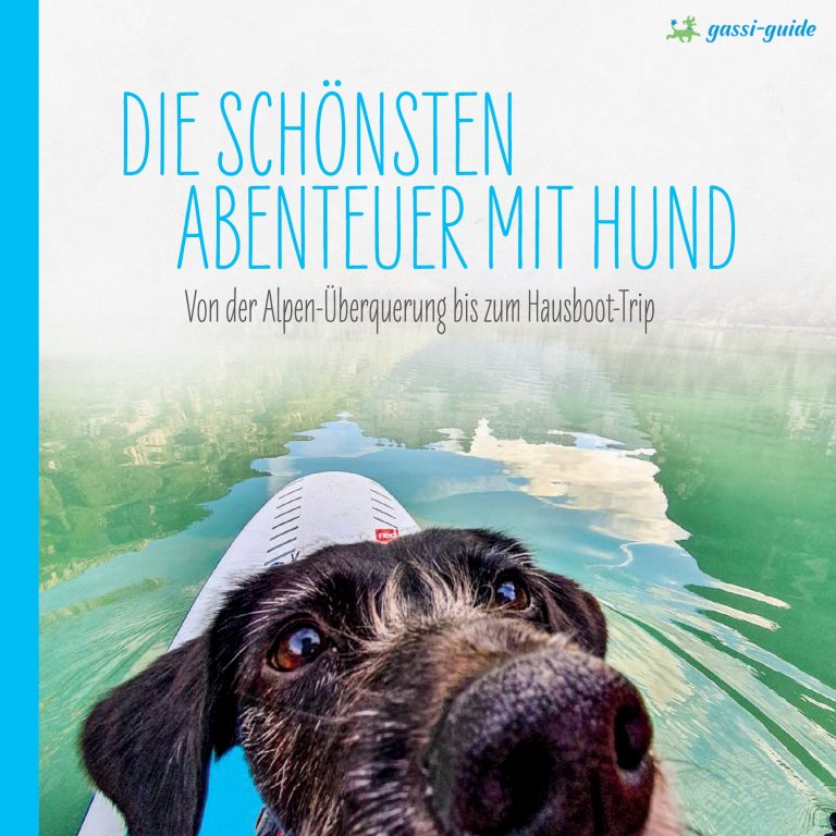 Wandern mit Hund in den Alpen: Was gilt es zu beachten?