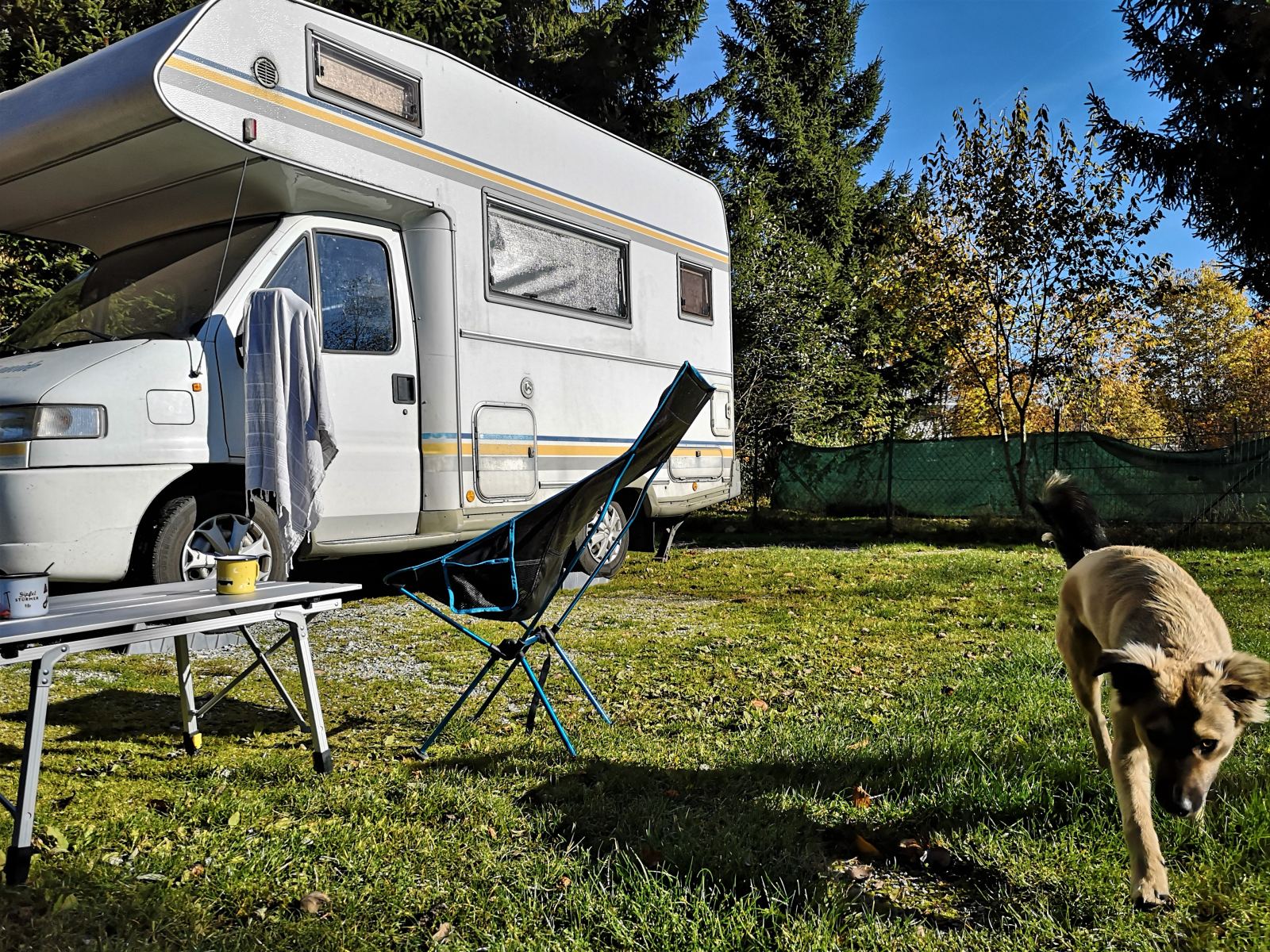 Urlaub mit Hund: Campingplätze mit eingezäunten Parzellen