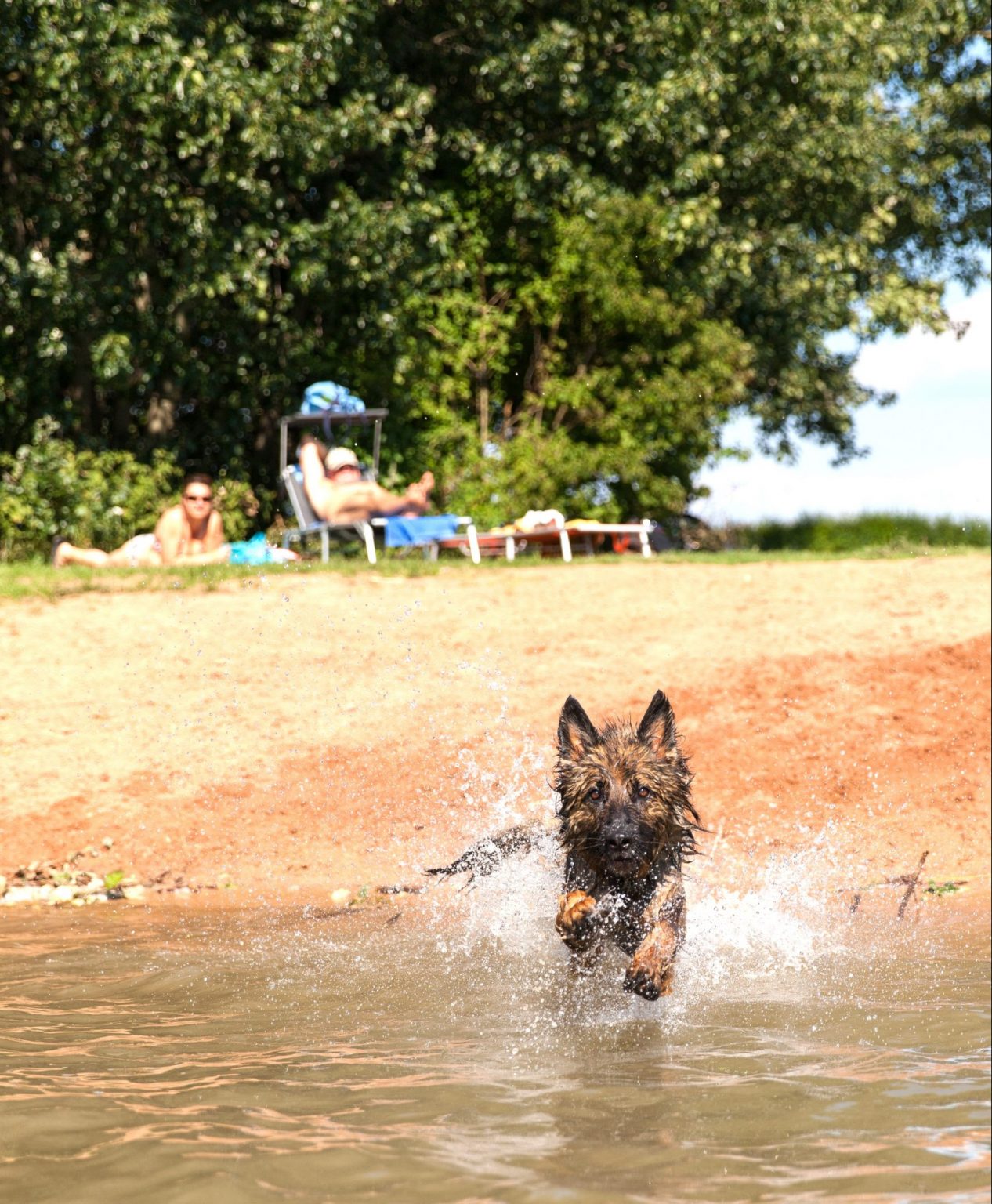 Urlaub Im Altmuhltal Mit Hund