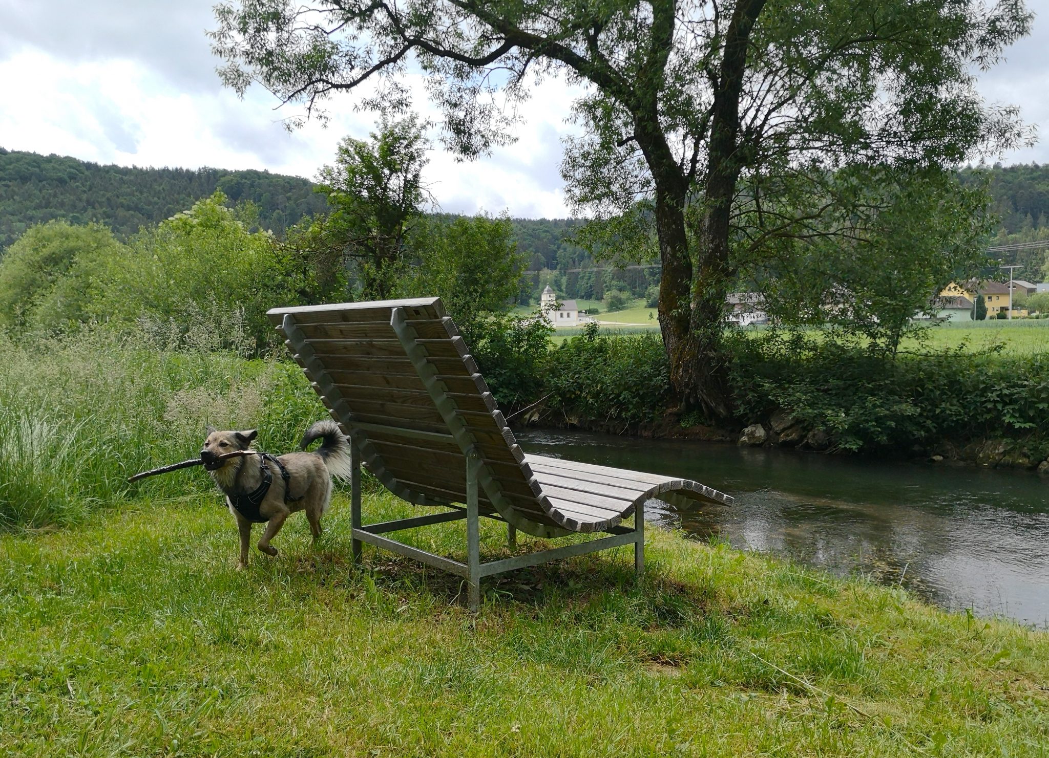 Urlaub Im Altmuhltal Mit Hund 1