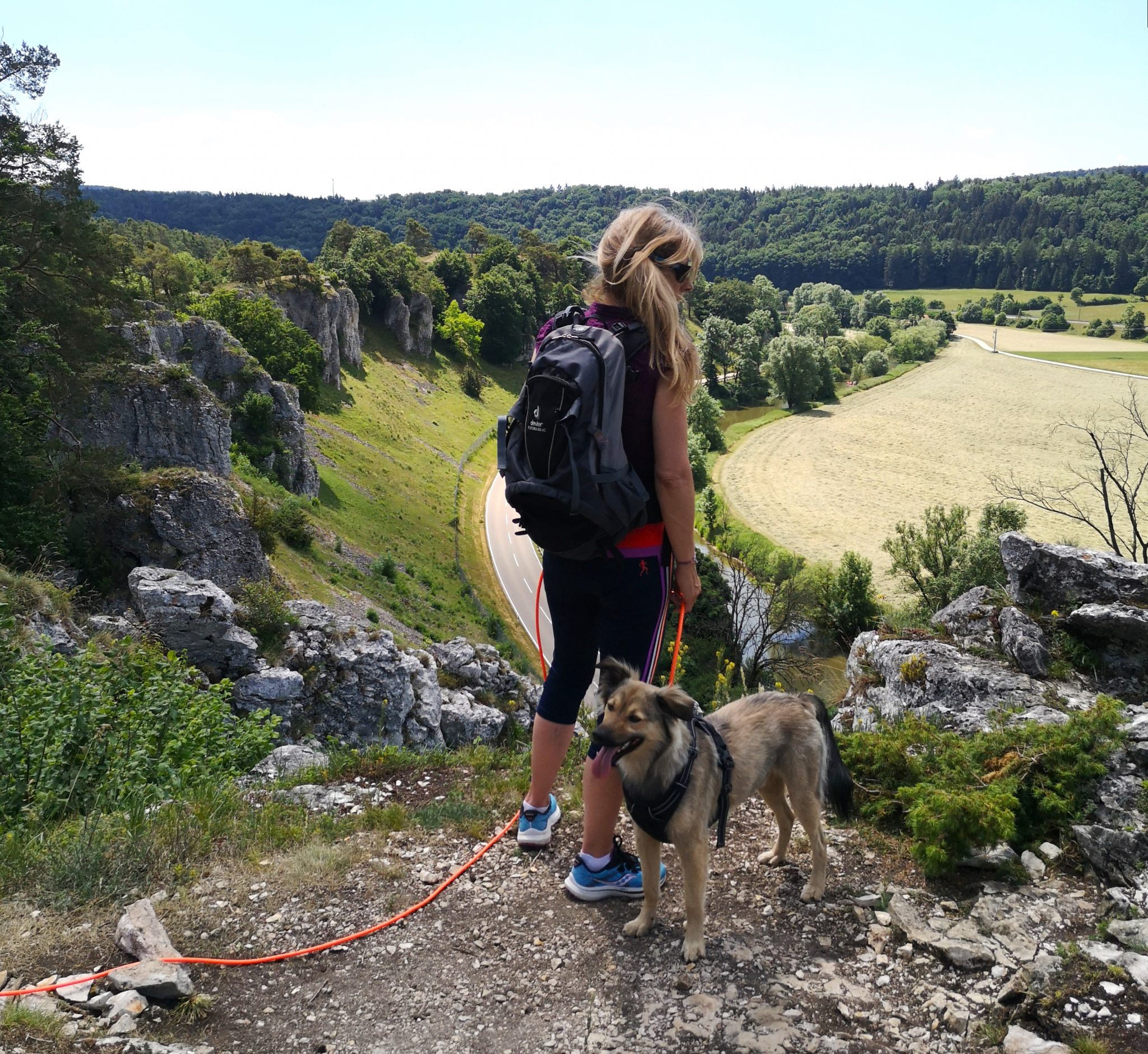 Urlaub Mit Hund Im Altmuhltal