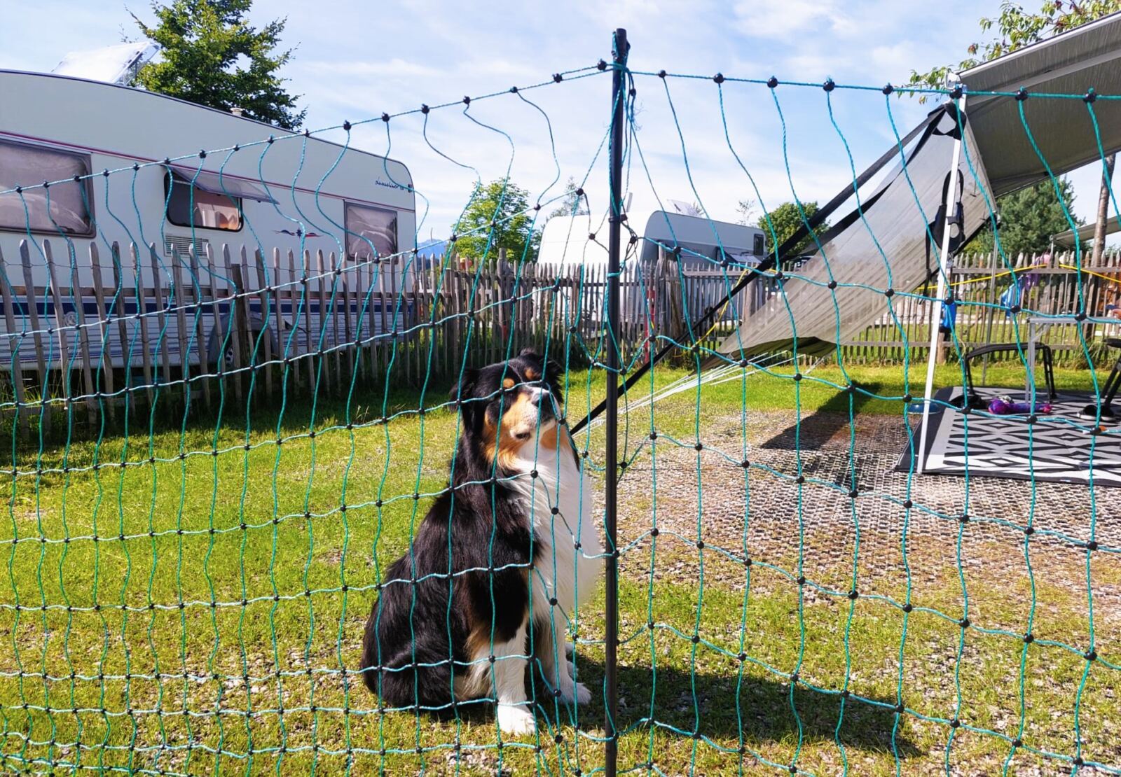 Urlaub mit Hund: Campingplätze mit eingezäunten Parzellen